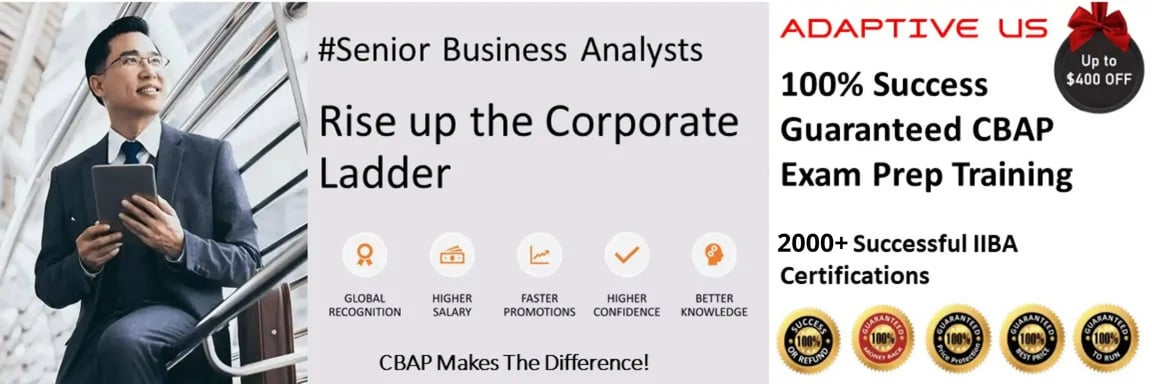 IIBA CBAP Certification Application Process in 2024 | Free Plan